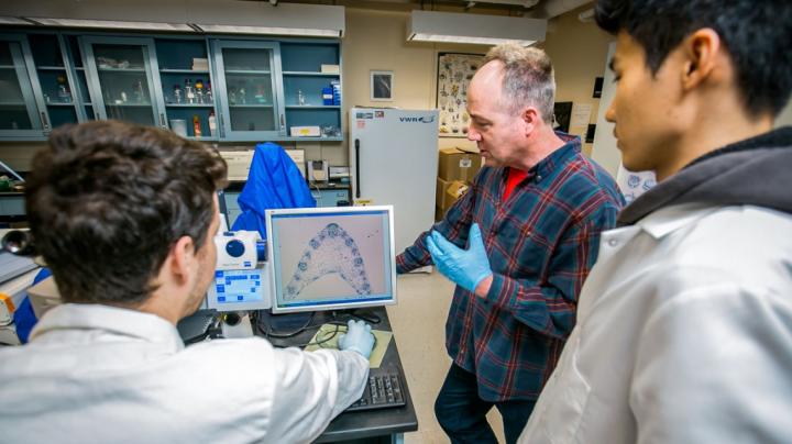 Michael Scanlon, Cornell Unive [IMAGE] | EurekAlert! Science News Releases