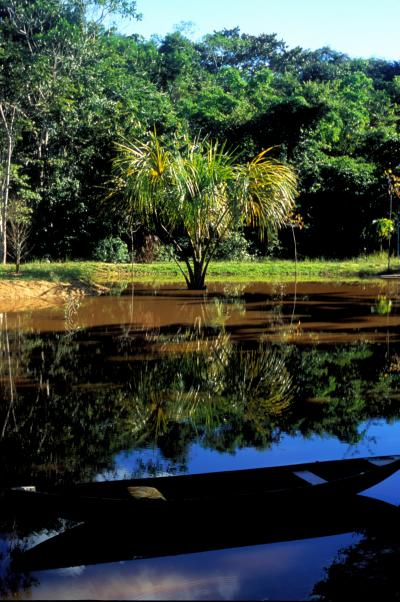 The Epic Origin of the Amazon (7 of 9) | EurekAlert!