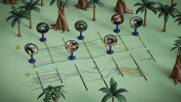 Scientists generate the first complete chromo | EurekAlert!