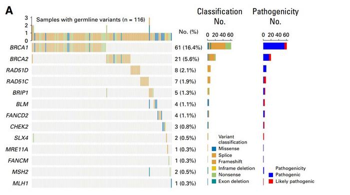BGI Genomics Targetable Ovaria [IMAGE] | EurekAlert! Science News Releases