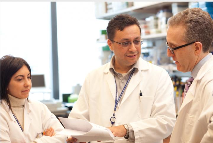 Taha Merghoub, Jedd Wolchok an [IMAGE] | EurekAlert! Science News Releases