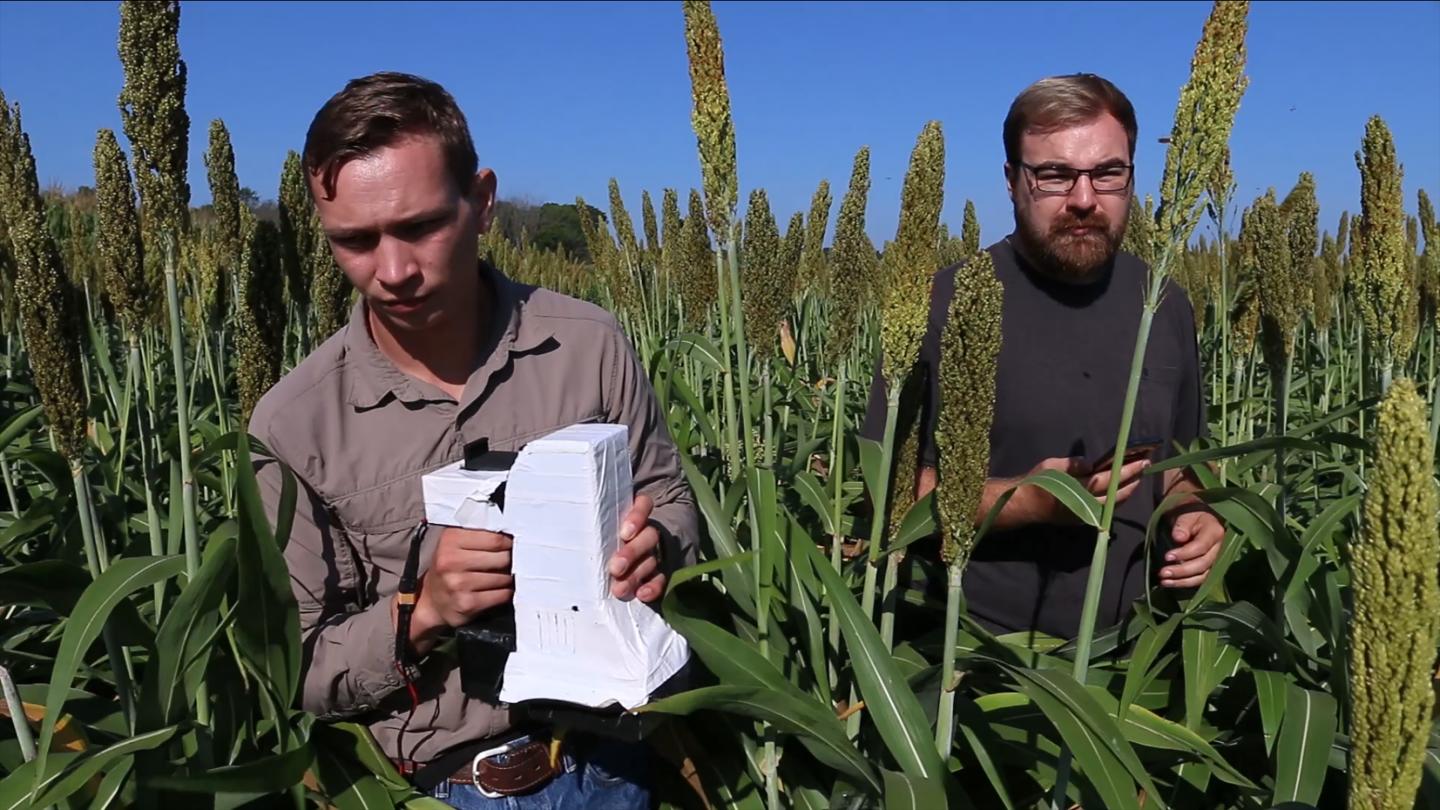Handheld Plant Scanners [IMAGE] | EurekAlert! Science News Releases