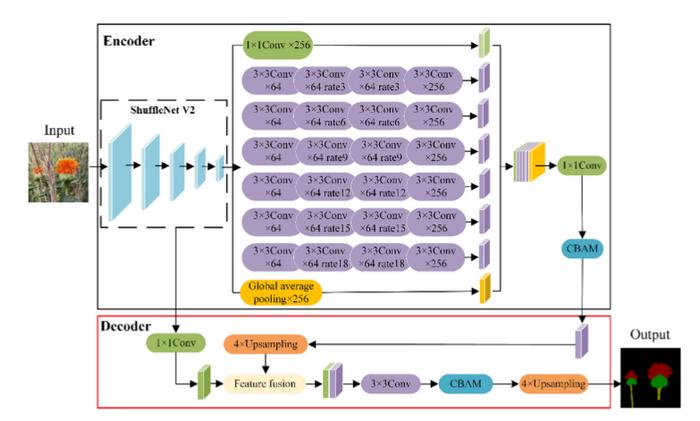 Advanced DeepLabv3+ algorithm enhances safflo | EurekAlert!