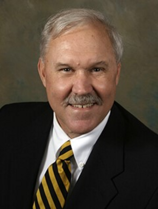 W. Richard “Rick” Webb, MD, (O [IMAGE] | EurekAlert! Science News Releases