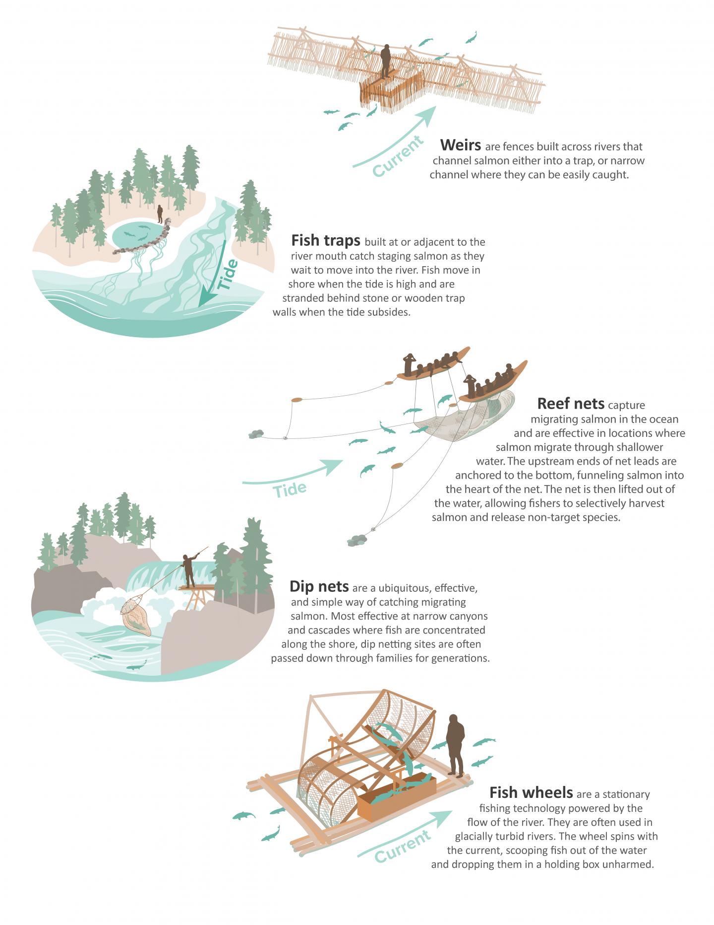 Traditional Salmon Fishing Met [IMAGE] | EurekAlert! Science News Releases