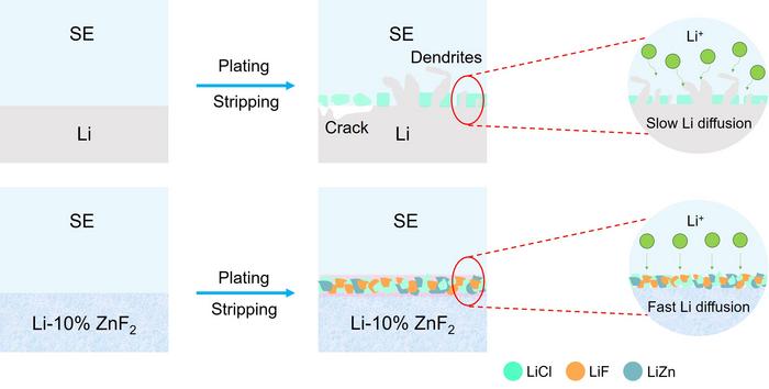 The LiCl/LiF/LiZn hybrid SEI i [IMAGE] | EurekAlert! Science News Releases