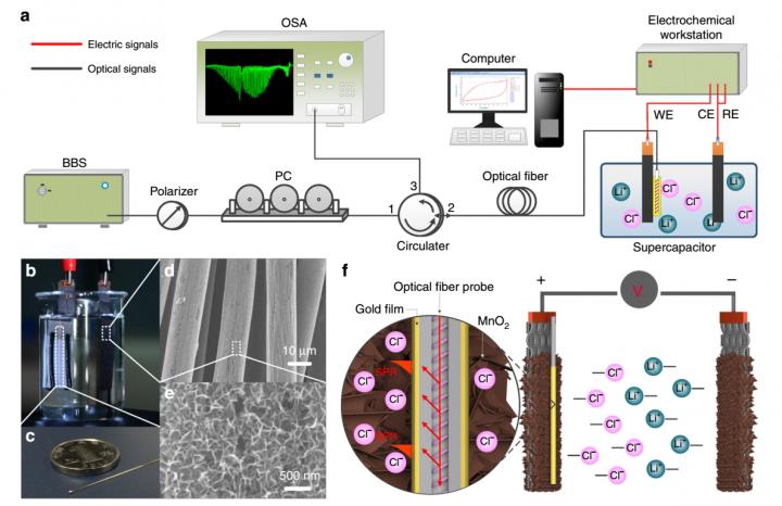 Figure 1 TFBG Optical Fiber Se [IMAGE] | EurekAlert! Science News Releases