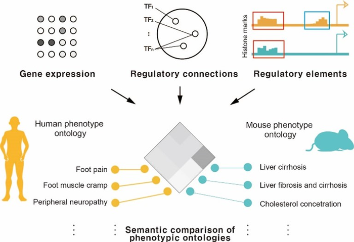 Enhancing drug development process with more | EurekAlert!