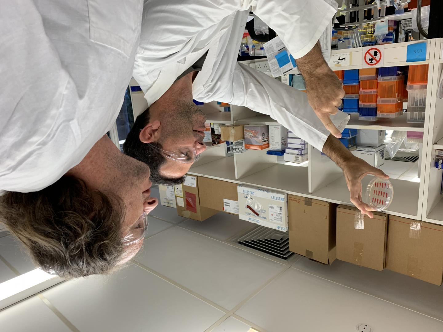 UTI Infection Research [IMAGE] | EurekAlert! Science News Releases