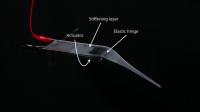 Electrohydraulic arachno-bot a fascinating li | EurekAlert!