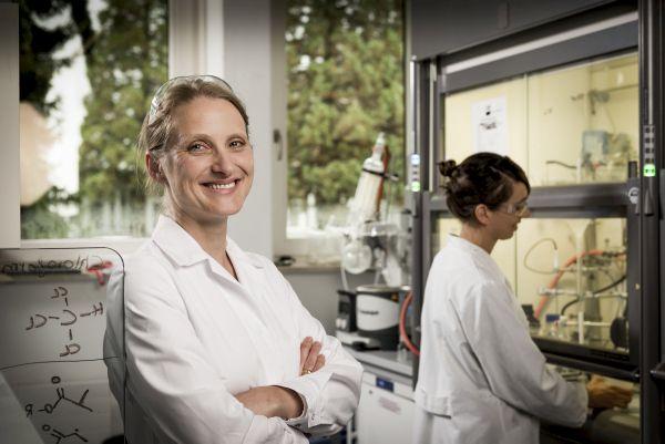 Bone marrow models to study blood and musculo | EurekAlert!