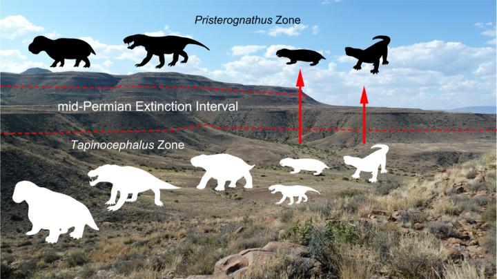 Guadalupian Extinction [IMAGE] | EurekAlert! Science News Releases