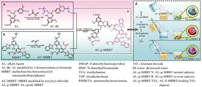 Lignin-Based Sunscreen Offers [IMAGE] | EurekAlert! Science News Releases
