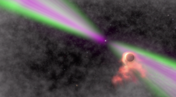 Artist’s impression of spider [IMAGE] | EurekAlert! Science News Releases