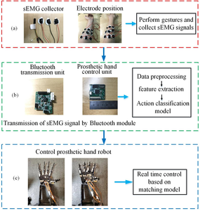 Hybrid machine-learning approach gives a hand | EurekAlert!