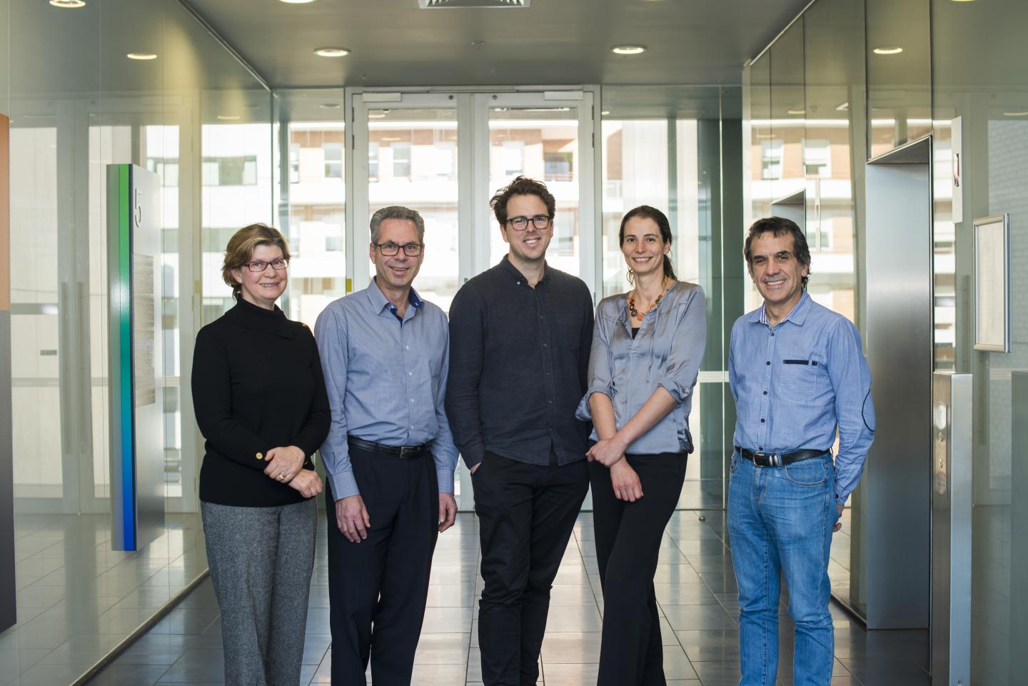 Jane Visvader, Geoff Lindeman, [IMAGE] | EurekAlert! Science News Releases