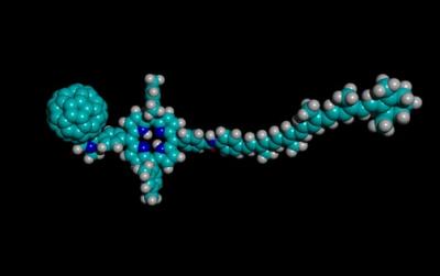 Chemical Compass Molecule [IMAGE] | EurekAlert! Science News Releases