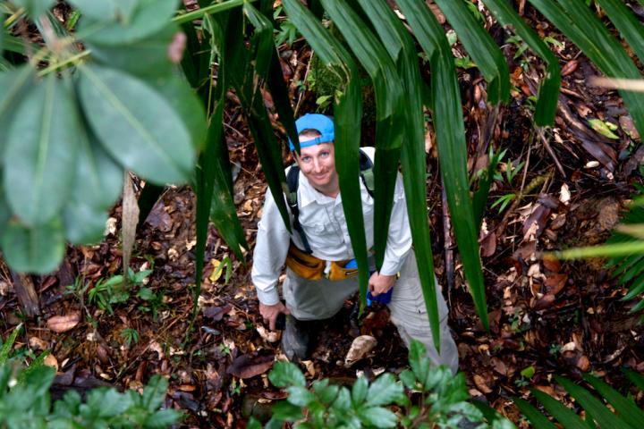 Brian Enquist, University of A [IMAGE] | EurekAlert! Science News Releases