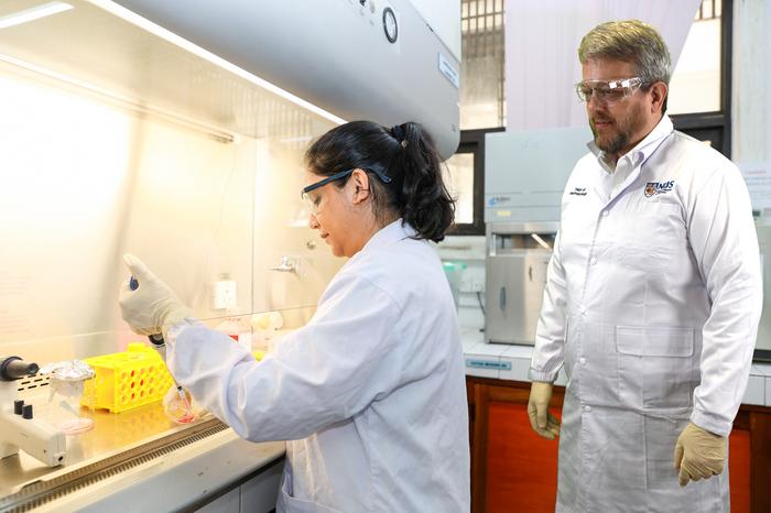 Image 5 [IMAGE] | EurekAlert! Science News Releases