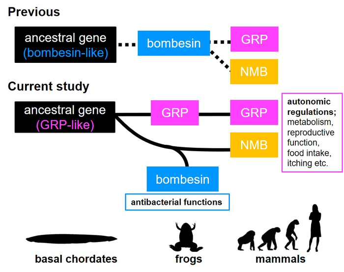 Previous theory on the origin [IMAGE] | EurekAlert! Science News Releases