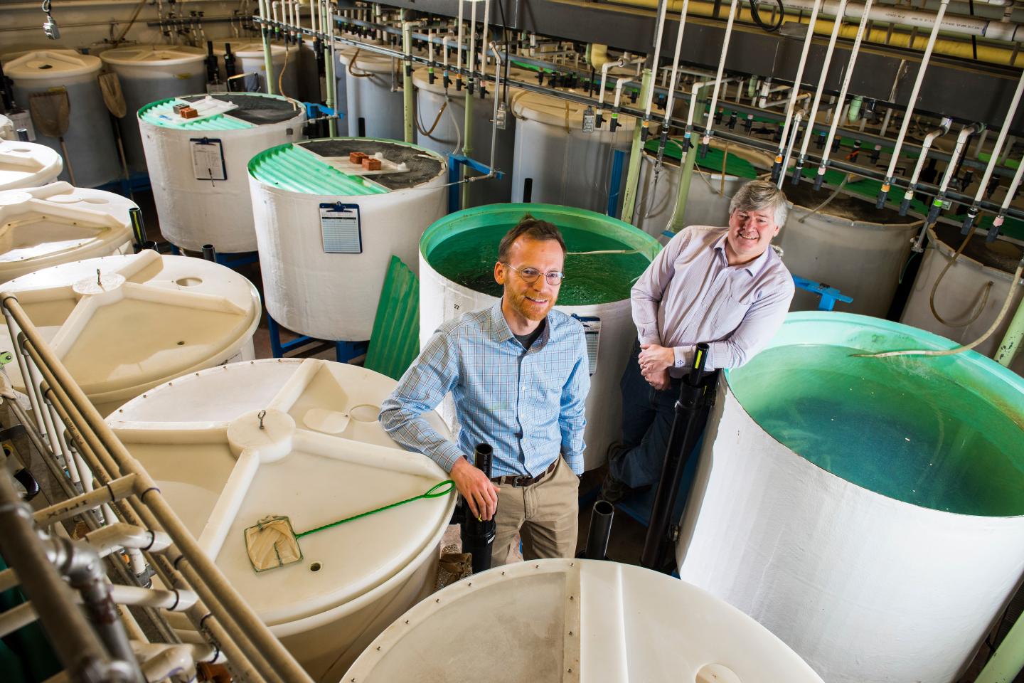 Testing the waters | EurekAlert!