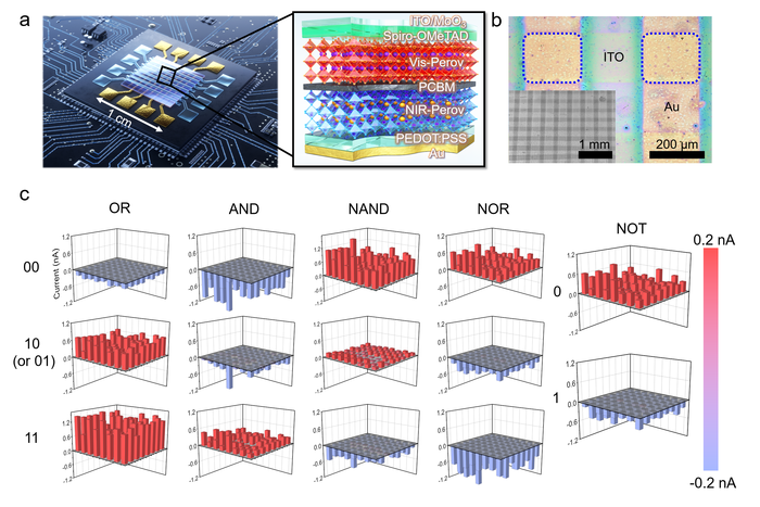 Three-dimensional bar charts f [IMAGE] | EurekAlert! Science News Releases