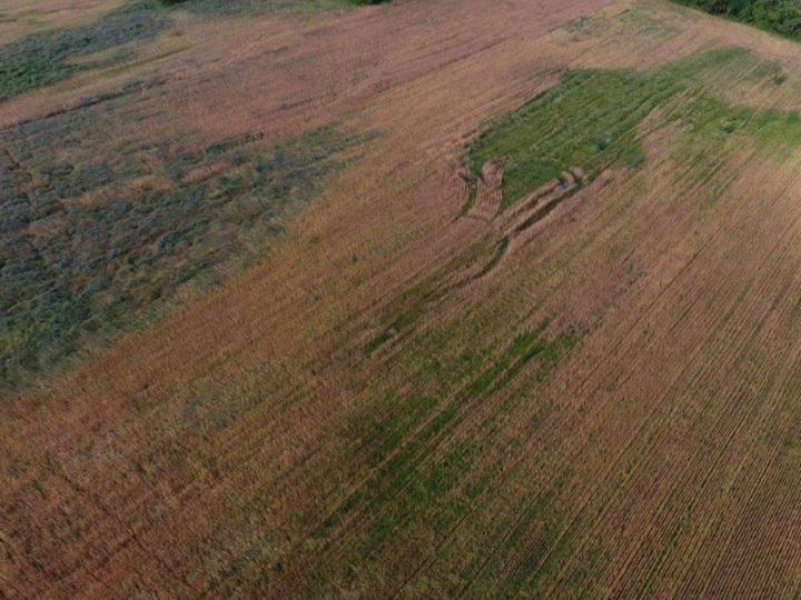 Aerial Field View [IMAGE] | EurekAlert! Science News Releases