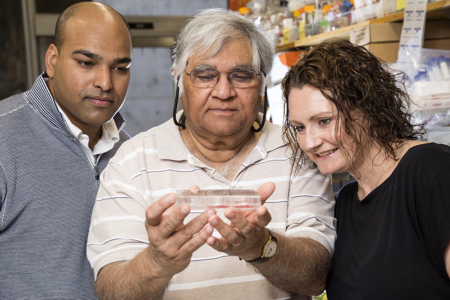 Tushar Menon, Inder Verma and [IMAGE] | EurekAlert! Science News Releases