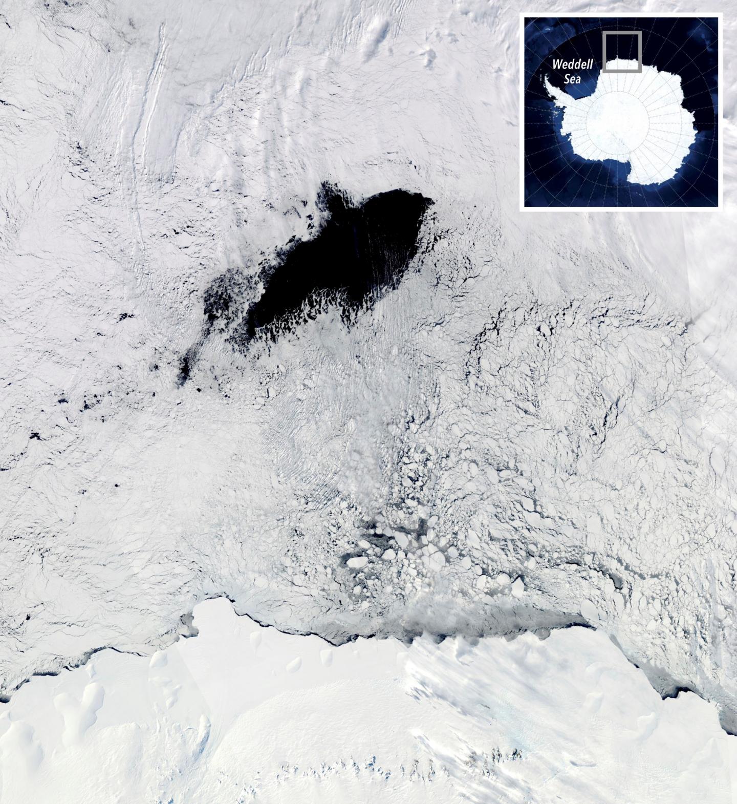 Antarctic Polynya [IMAGE] | EurekAlert! Science News Releases