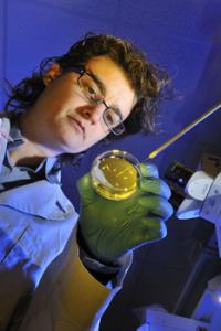 Biologist Carla Finkielstein receives Minorit | EurekAlert!