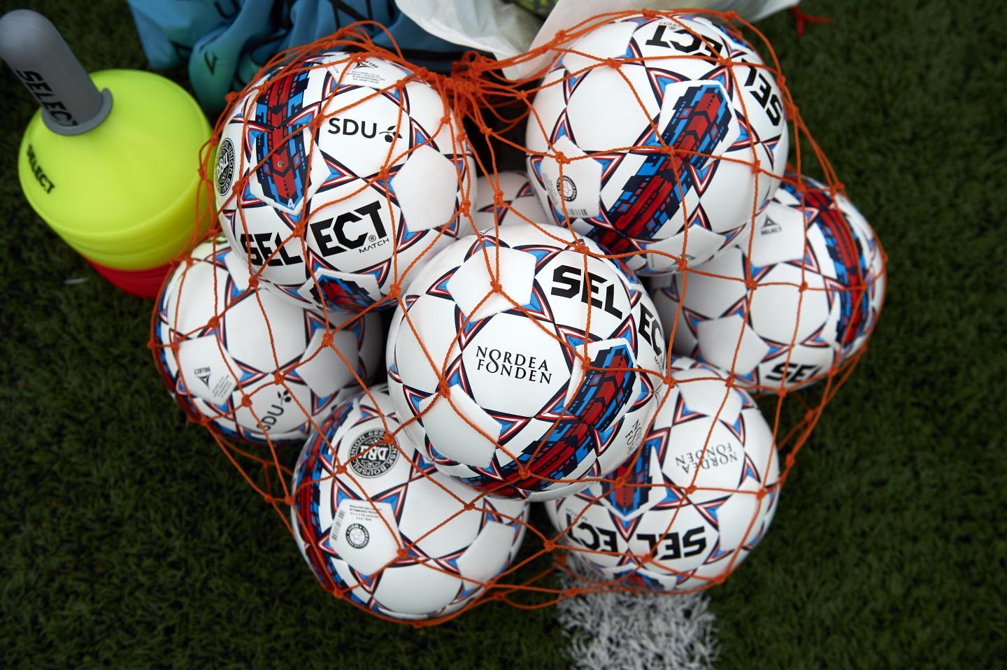 11 For Health in Danmark_3 [IMAGE] | EurekAlert! Science News Releases