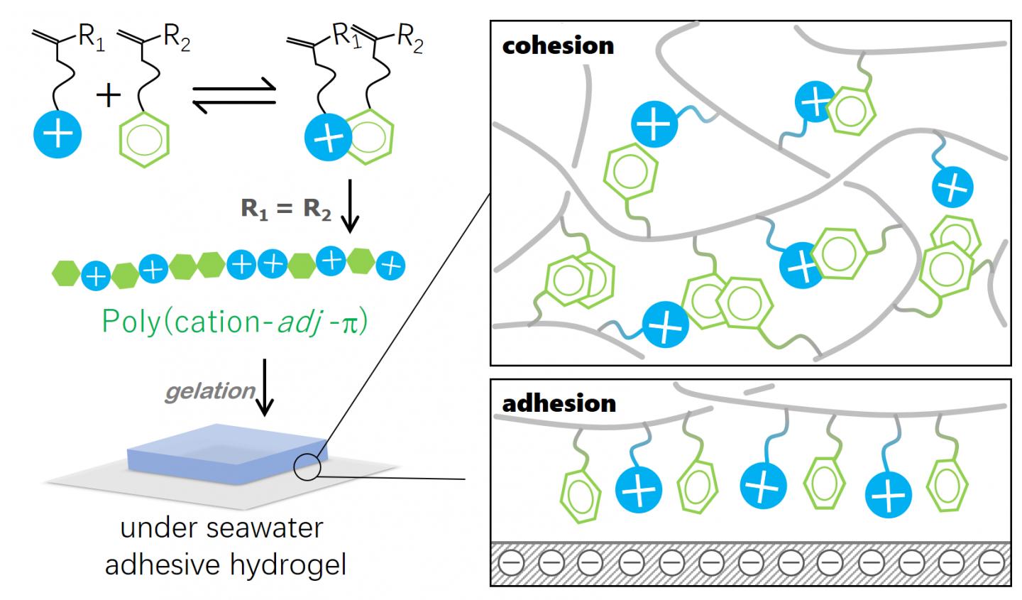 The Synthetic Method [IMAGE] | EurekAlert! Science News Releases
