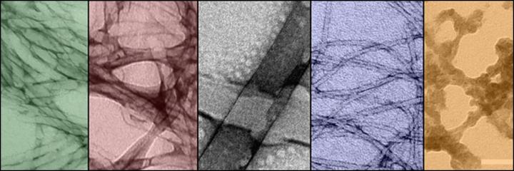 TEM Images of Self-Assembling [IMAGE] | EurekAlert! Science News Releases