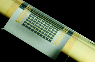 Flexible GaAs Solar Cells [IMAGE] | EurekAlert! Science News Releases