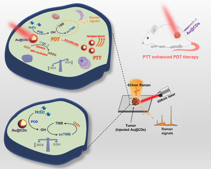 Surface enhanced Raman scattering monitoring | EurekAlert!