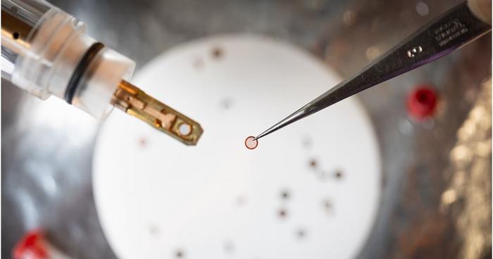 PolyU researchers make breakth [IMAGE] | EurekAlert! Science News Releases