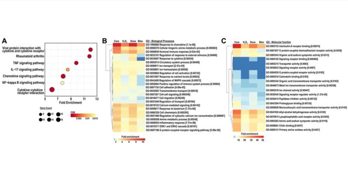 Figure 4 [IMAGE] | EurekAlert! Science News Releases