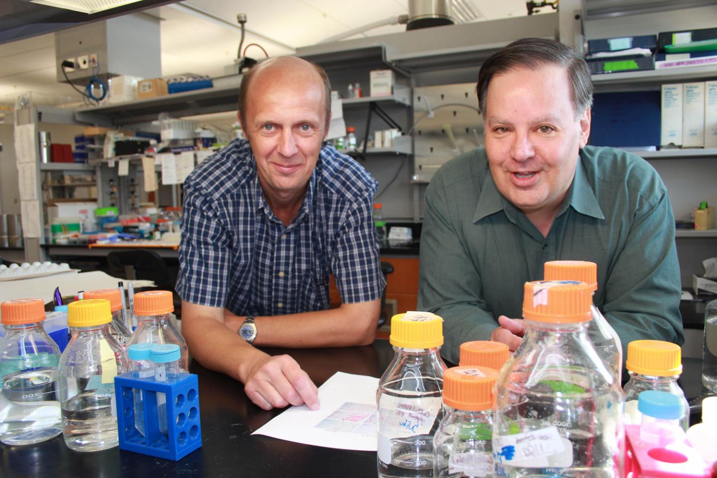 Richard Gomer and Darrell Pill [IMAGE] | EurekAlert! Science News Releases