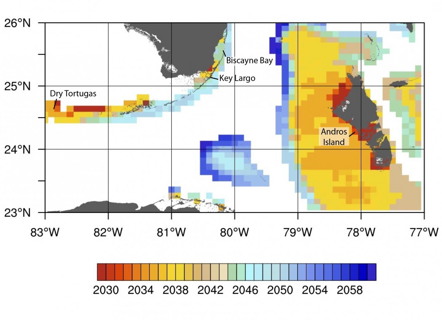 Projecting Coral Bleaching [IMAGE] | EurekAlert! Science News Releases