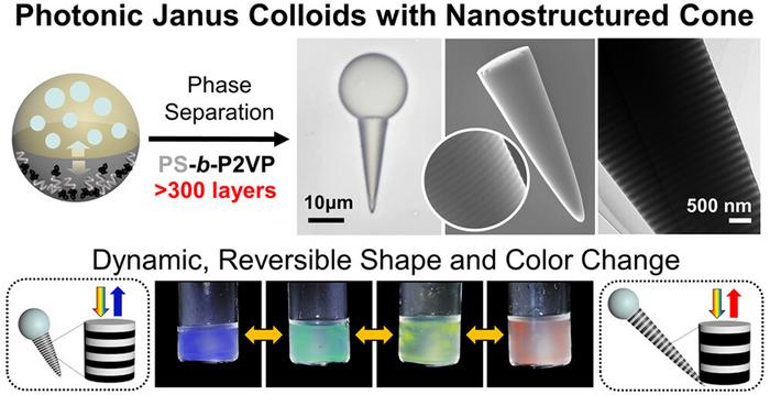 Photonic Janus Colloids with N [IMAGE] | EurekAlert! Science News Releases