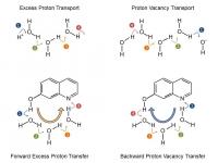 Forward or backward? New pathways for protons | EurekAlert!