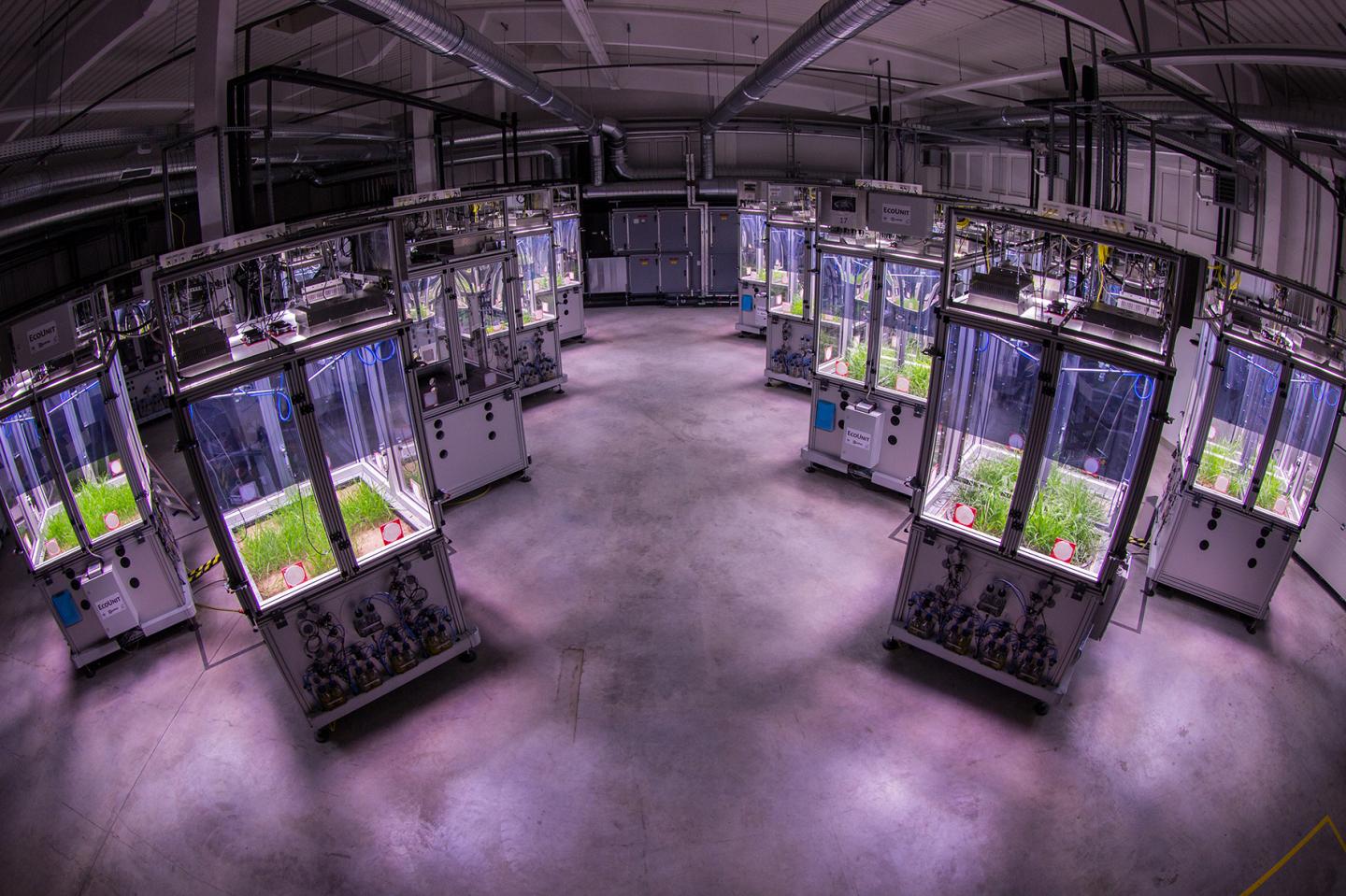 idiv ecotron 3 [IMAGE] | EurekAlert! Science News Releases