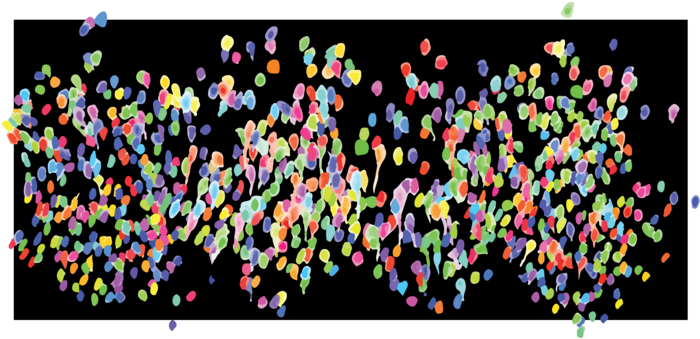 为什么在麻醉下感觉不到声音? - 生物通