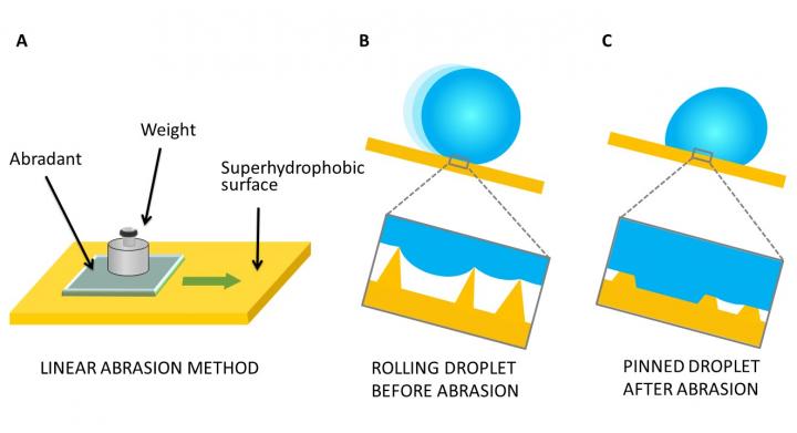 Linear Abrasion [IMAGE] | EurekAlert! Science News Releases