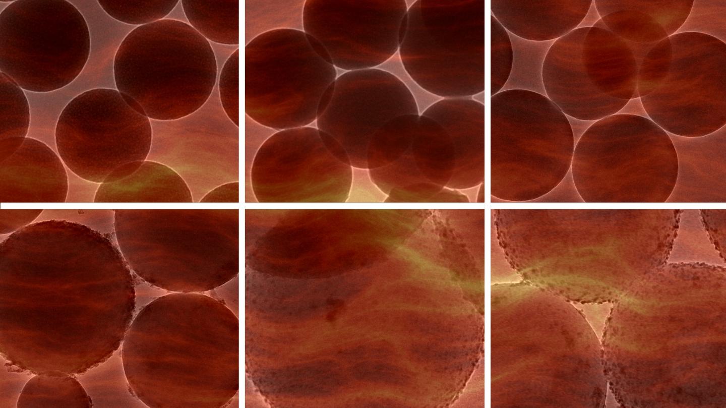 Toxic Pollutant to Pharma Feed [IMAGE] | EurekAlert! Science News Releases