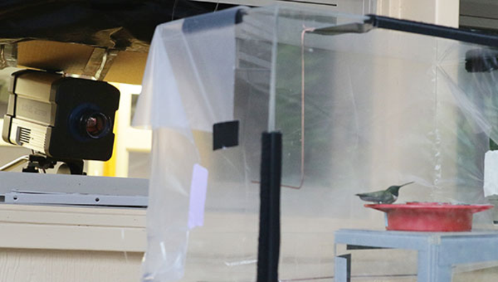 Infra-red set-up [IMAGE] | EurekAlert! Science News Releases