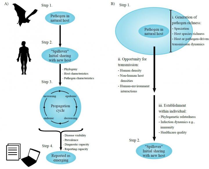 Map shows hotspots for bat-human virus transm | EurekAlert!