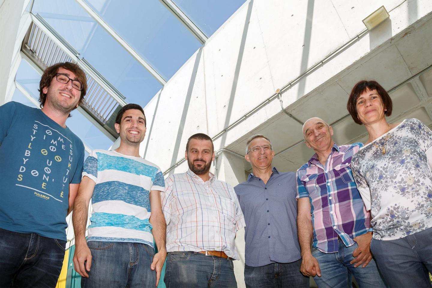 Soft computing solutions help to predict surv | EurekAlert!