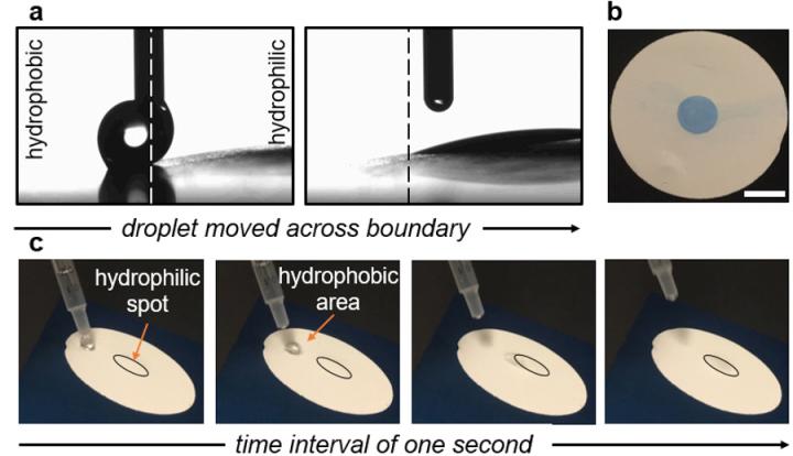 Janus Steps 2 [IMAGE] | EurekAlert! Science News Releases