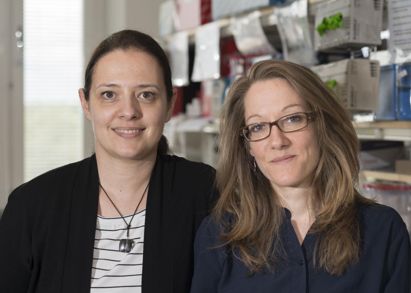 Maja Jagodic & Lara Kular, Kar [IMAGE] | EurekAlert! Science News Releases